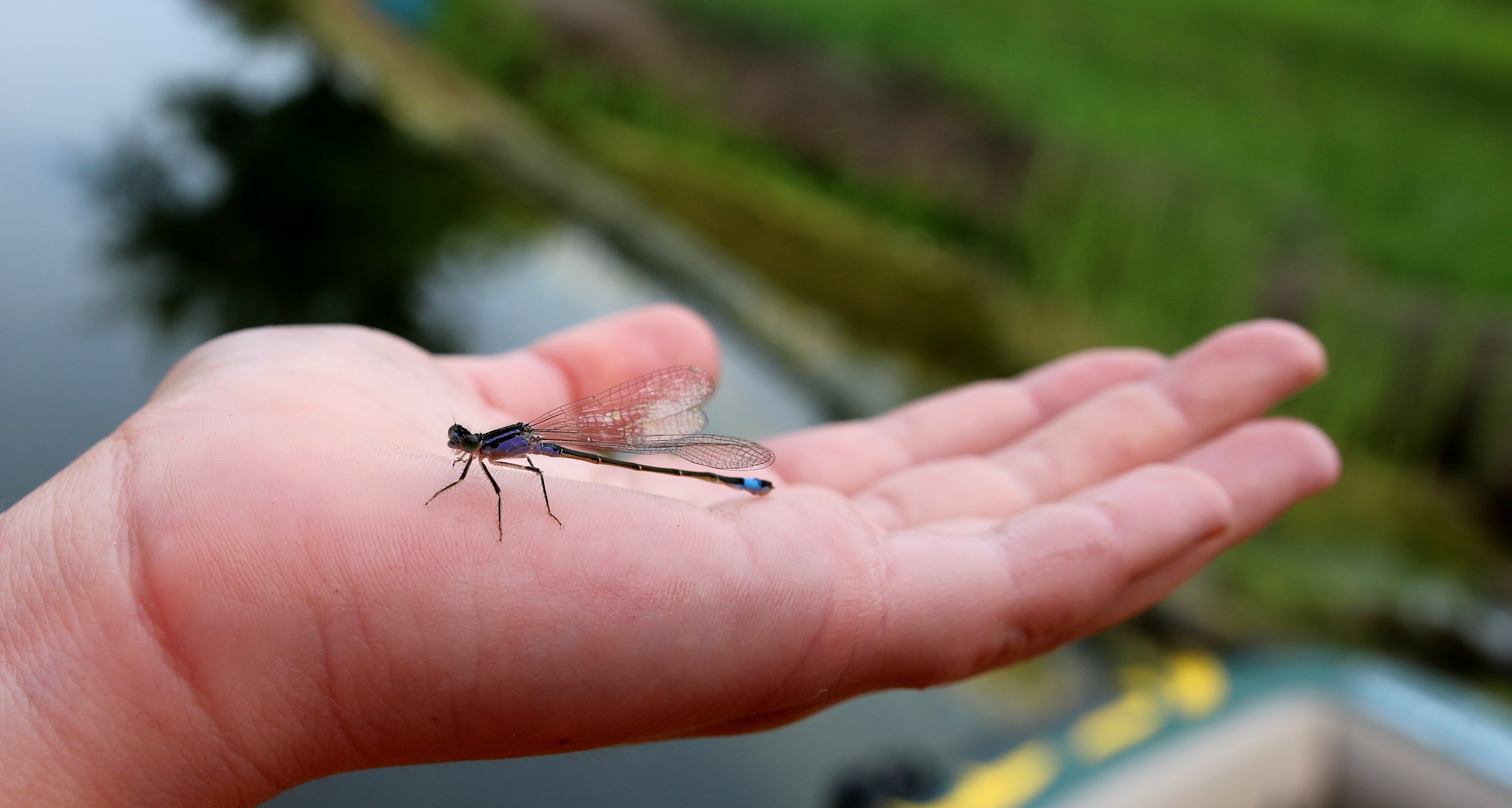 Bádáme venku na 1. stupni | Blog | Učitelnice
